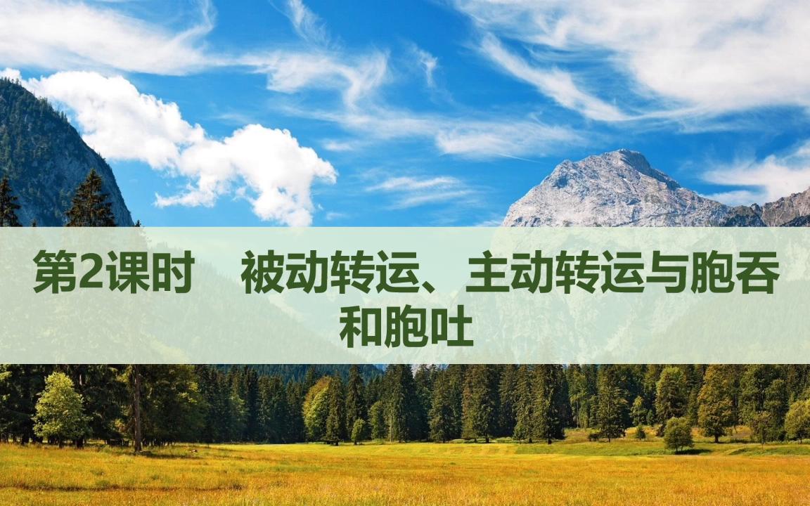 浙科版高中生物新教材 必修一 3.3.2 被动转运、主动转运与胞吞和胞吐
