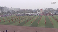 2014彭州市第一届学生体育节开幕式敖平小学排球操表演1080P