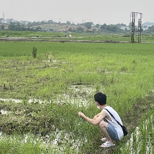 A可乐小生 
