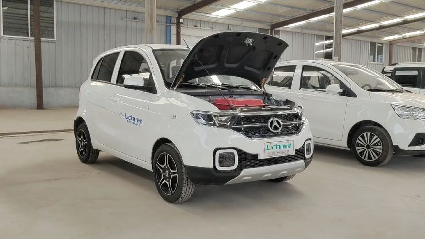 可油电两用的丽驰电动四轮车,跑600里路,自动挡操作