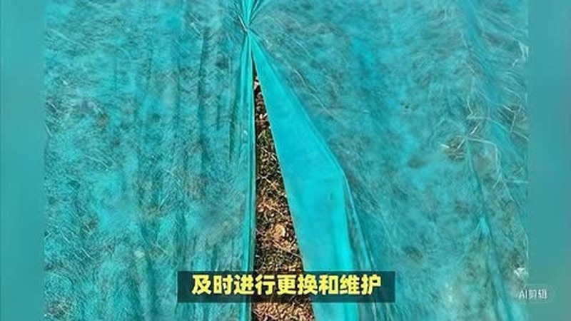 泸水市园林绿化无纺布,无纺布特性、参数及寿命全解析