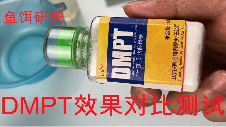 鱼饵研究DMPT效果实测