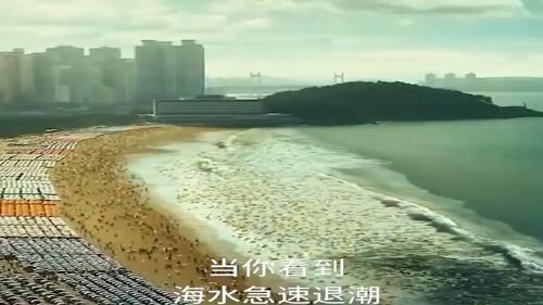 如果你遇到海啸应该怎么办?