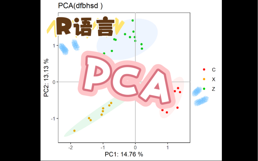 R语言保姆级教程之PCA。导入数据一键生成