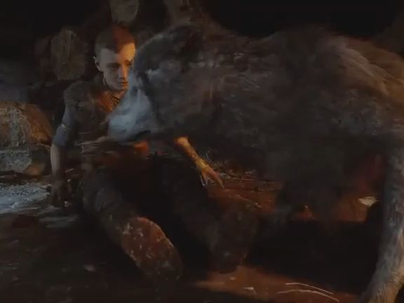 这是狼王还是狗狗啊!好大块