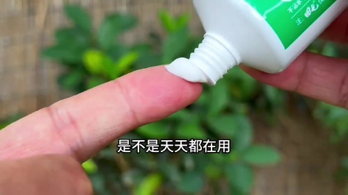 看似不起眼的生活用品,也是养花的好宝贝