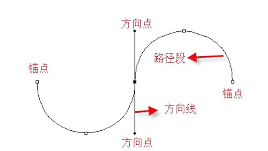 Ps钢笔工具不会使用?一个视频帮你搞定「值得收藏」
