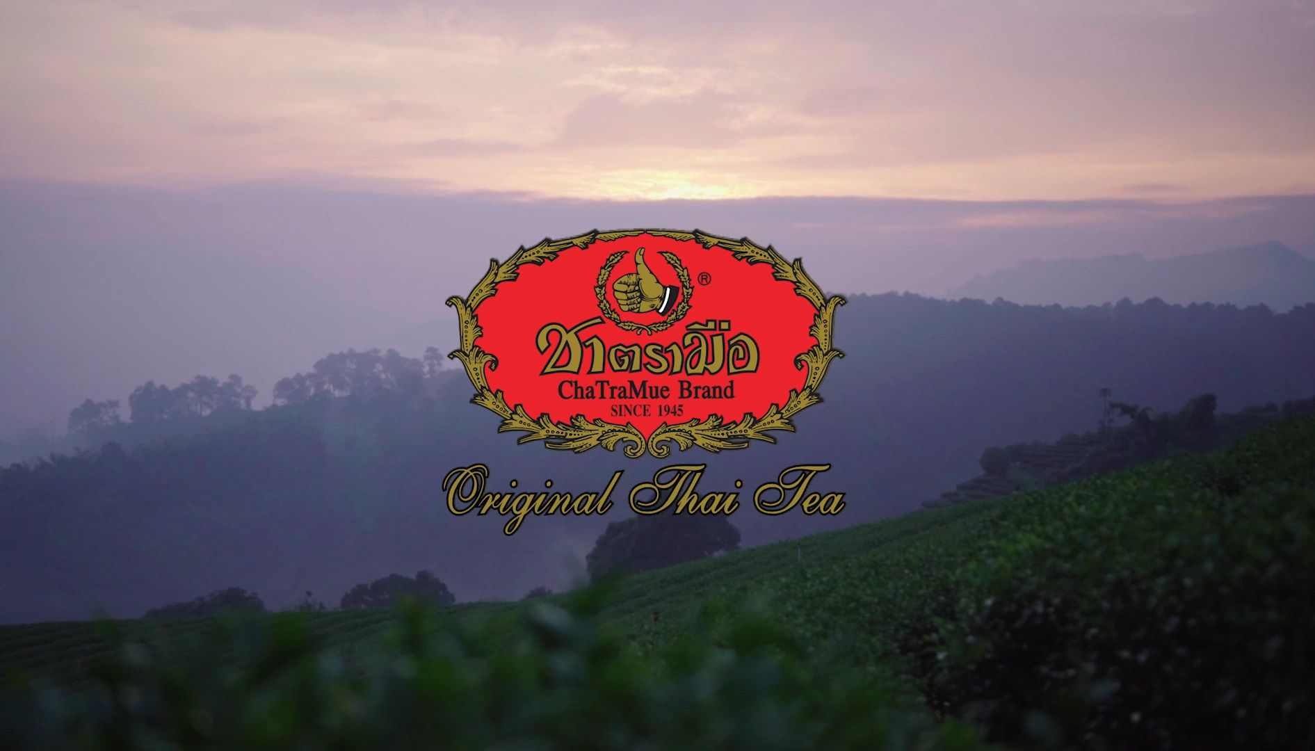 【品牌 | 制茶故事】趁着上海首家正式店正在如火如荼的筹备中,让我们...