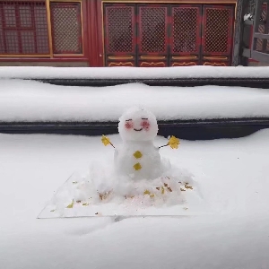 荔枝枝吱吱丫 