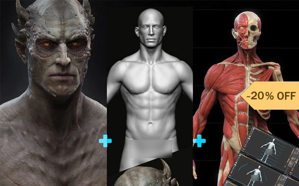 【ZBrush】Rafa《Zbrush 角色解剖和设计》(中英双字)