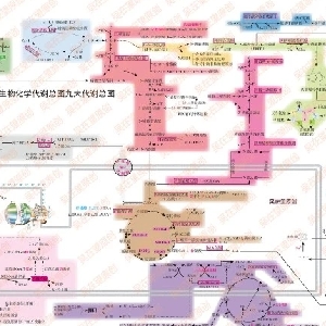 医学僧日记 