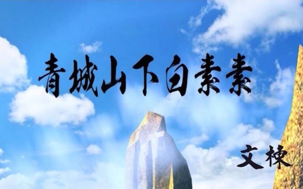 学动画专业两年系列期末结课作业《青城山下白素素》