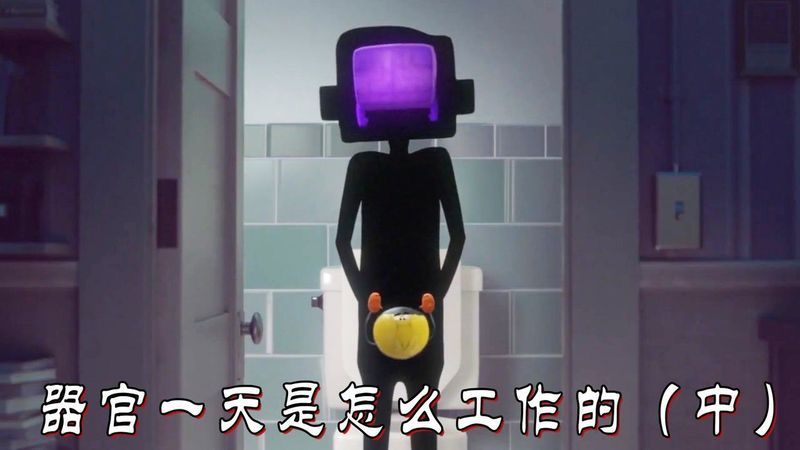 看看你的身体器官,一天是怎么工作的