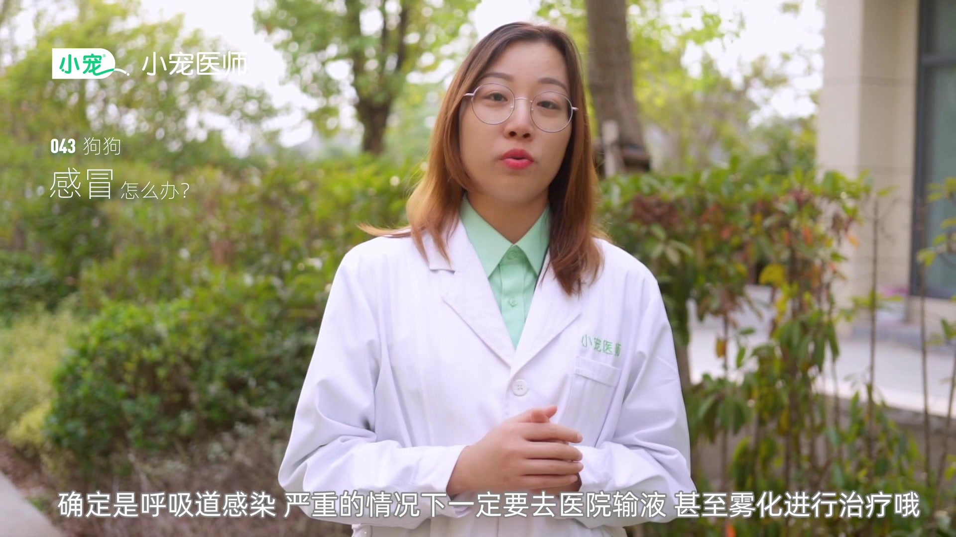 43 狗狗感冒怎么办