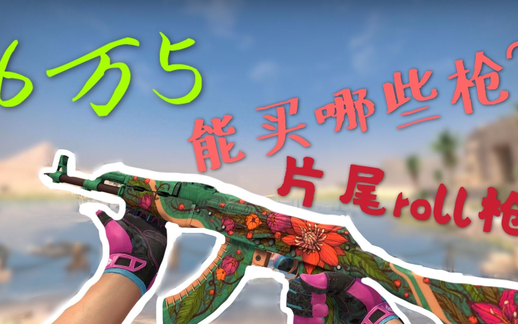 【csgo】 6万5买一套皮肤?