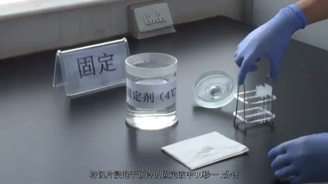 冰冻切片制作方法