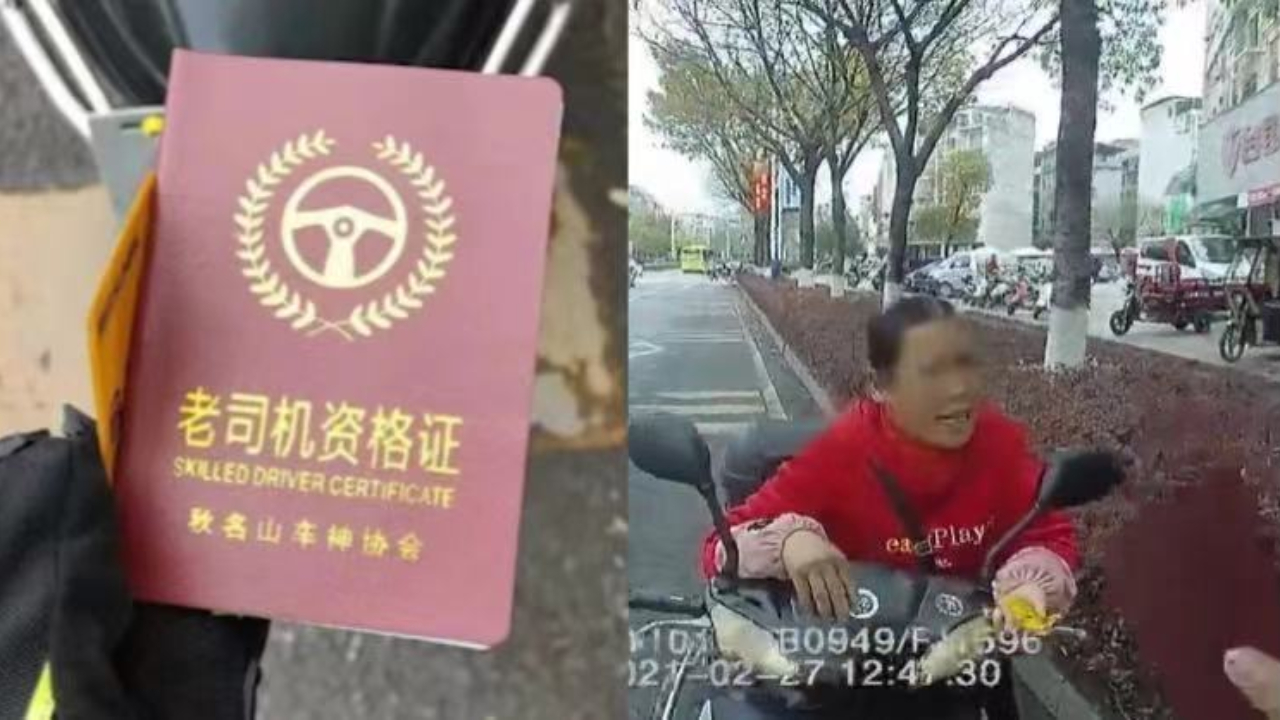 惊呆了!大妈逆行被拦查,居然掏出“秋名山车神老司机证”