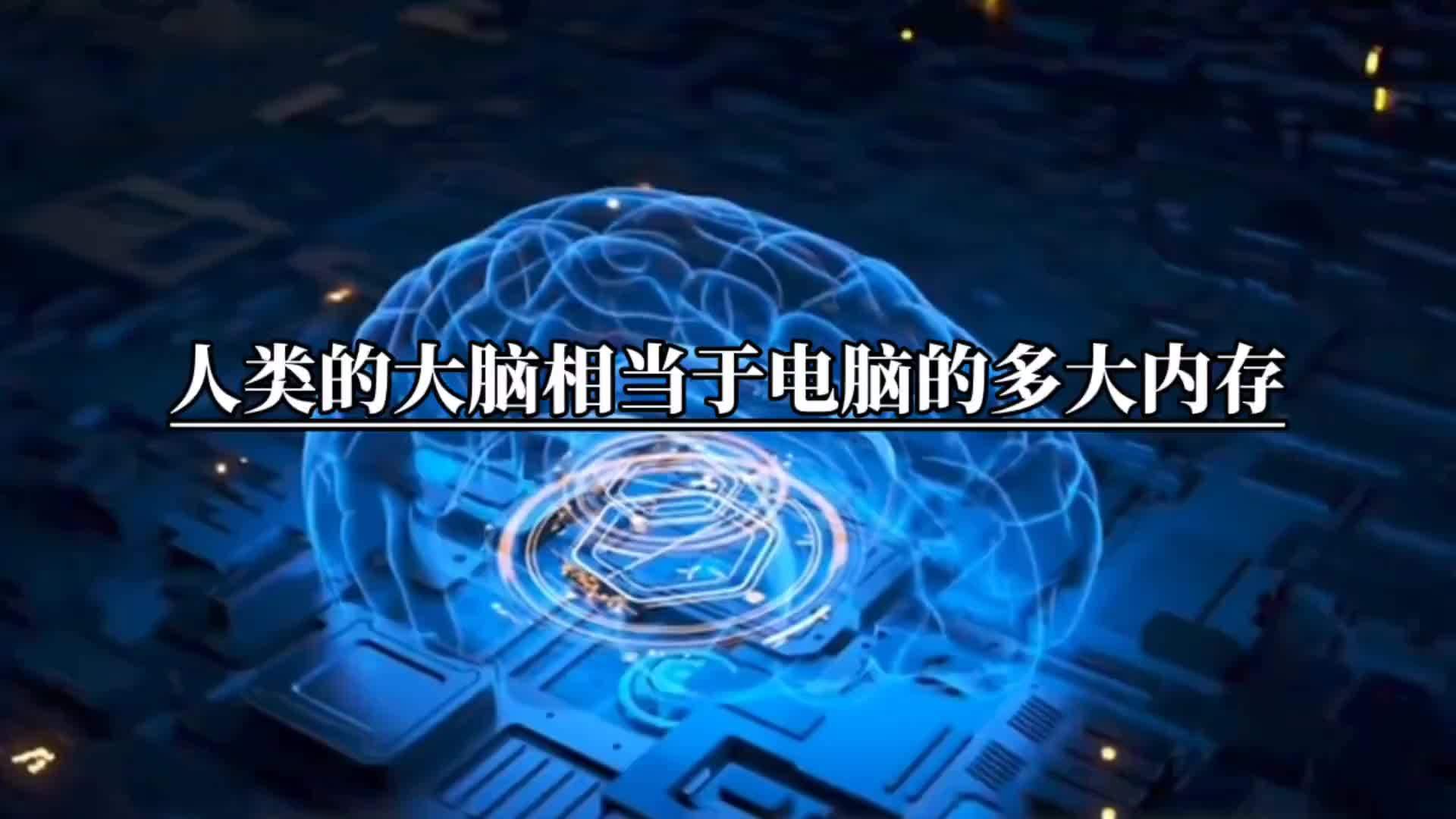 人类的大脑相当于电脑的多大内存