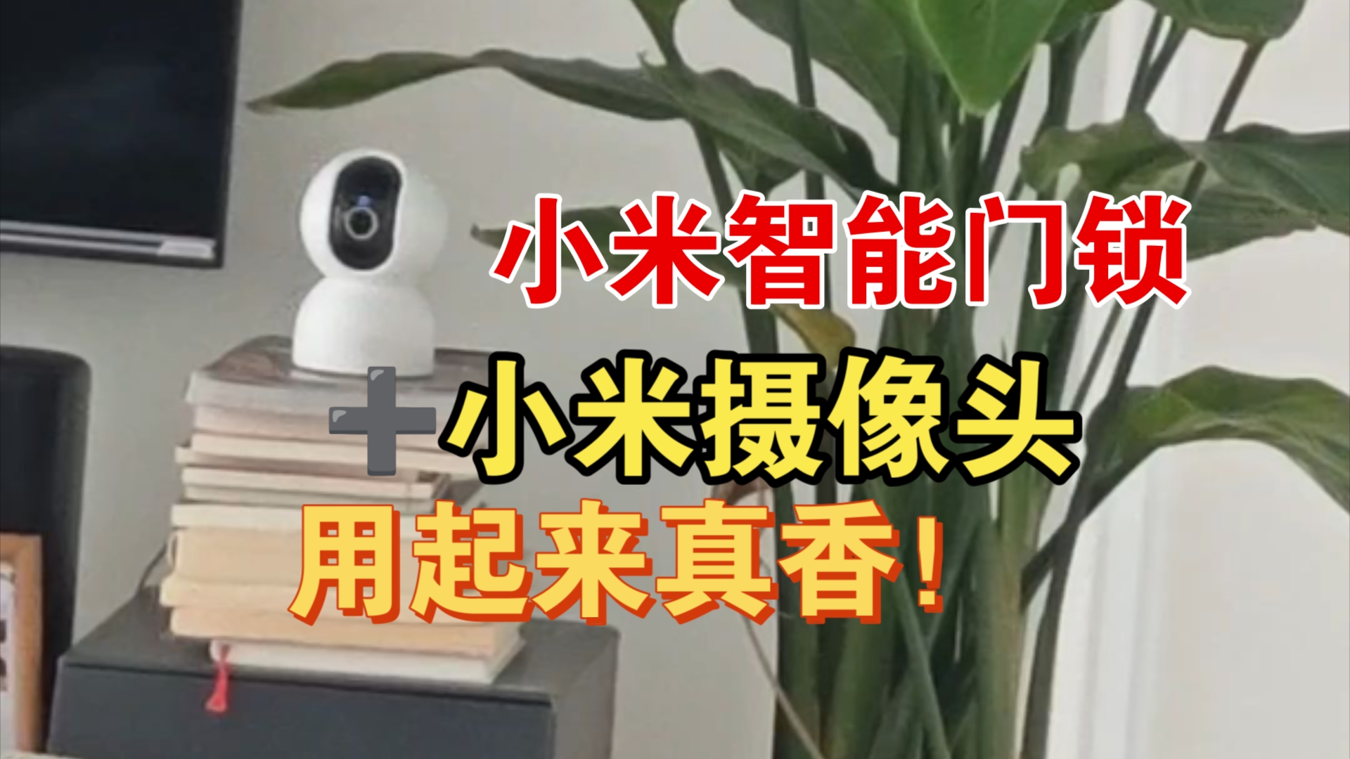 小米智能门锁和小米摄像头使用体验极佳!装修时无需频繁奔波,方便多...