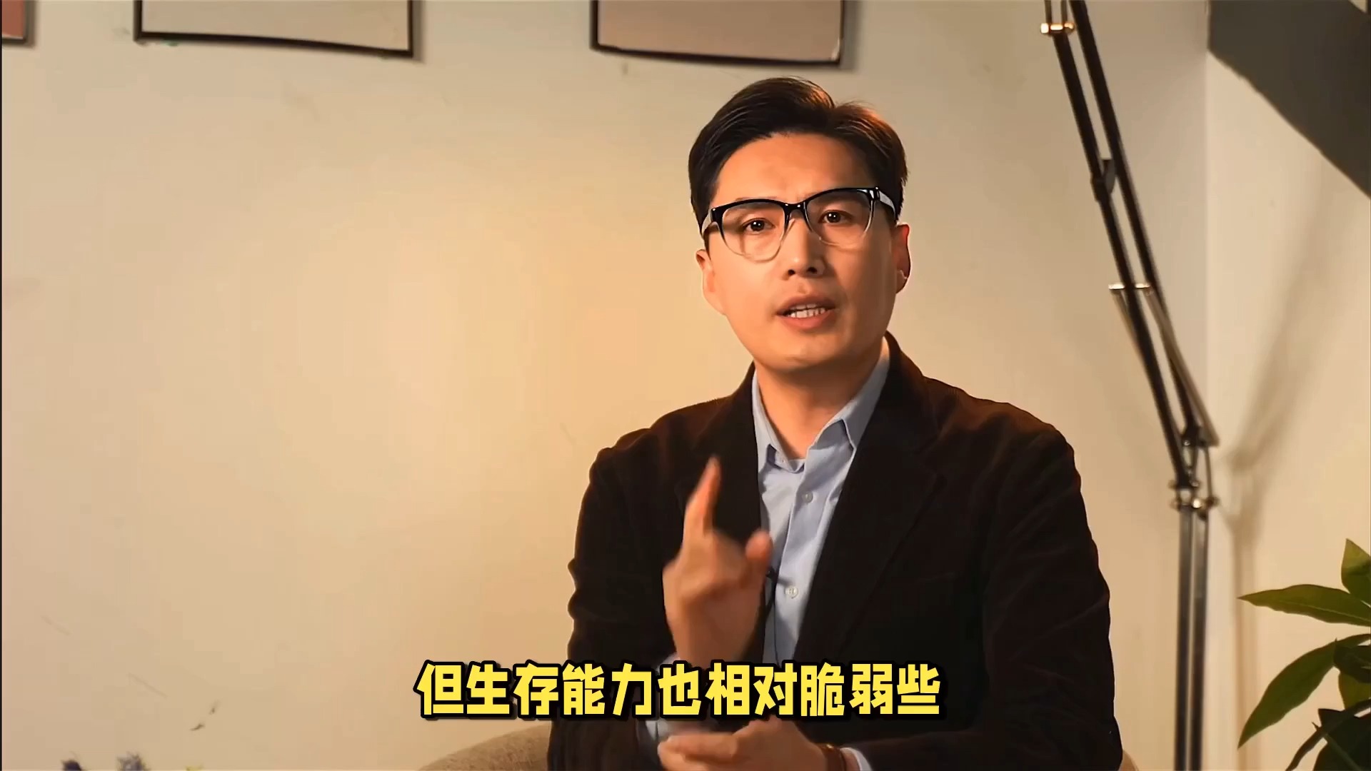国产显卡现在到底什么情况?简单几句话说明白