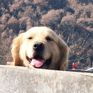小闫科技 