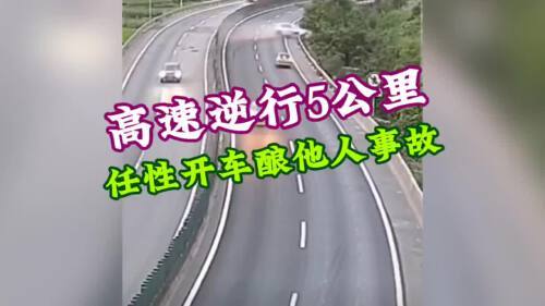 高速逆行5公里任性开车酿他人事故!车主逃之夭夭!