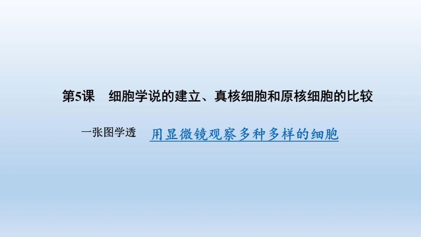 显微镜使用知识梳理