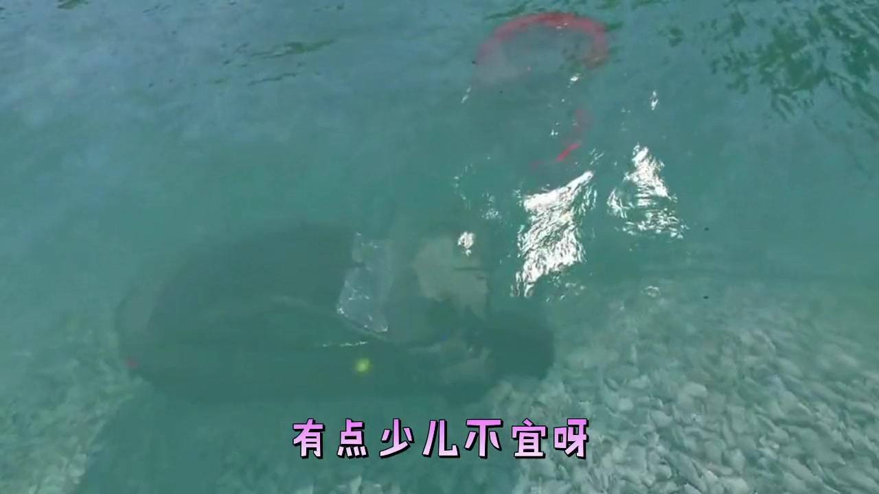 模拟器,安全地体验不安全的驾驶。