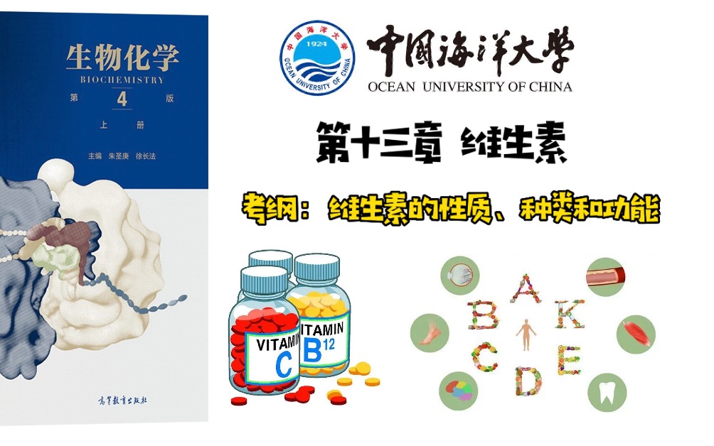 第十三章 维生素【中国海洋大学考研】