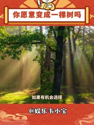 这种以树为碑的方式,既环保又充满意义 #树葬 #万万没想到 #内容启发...