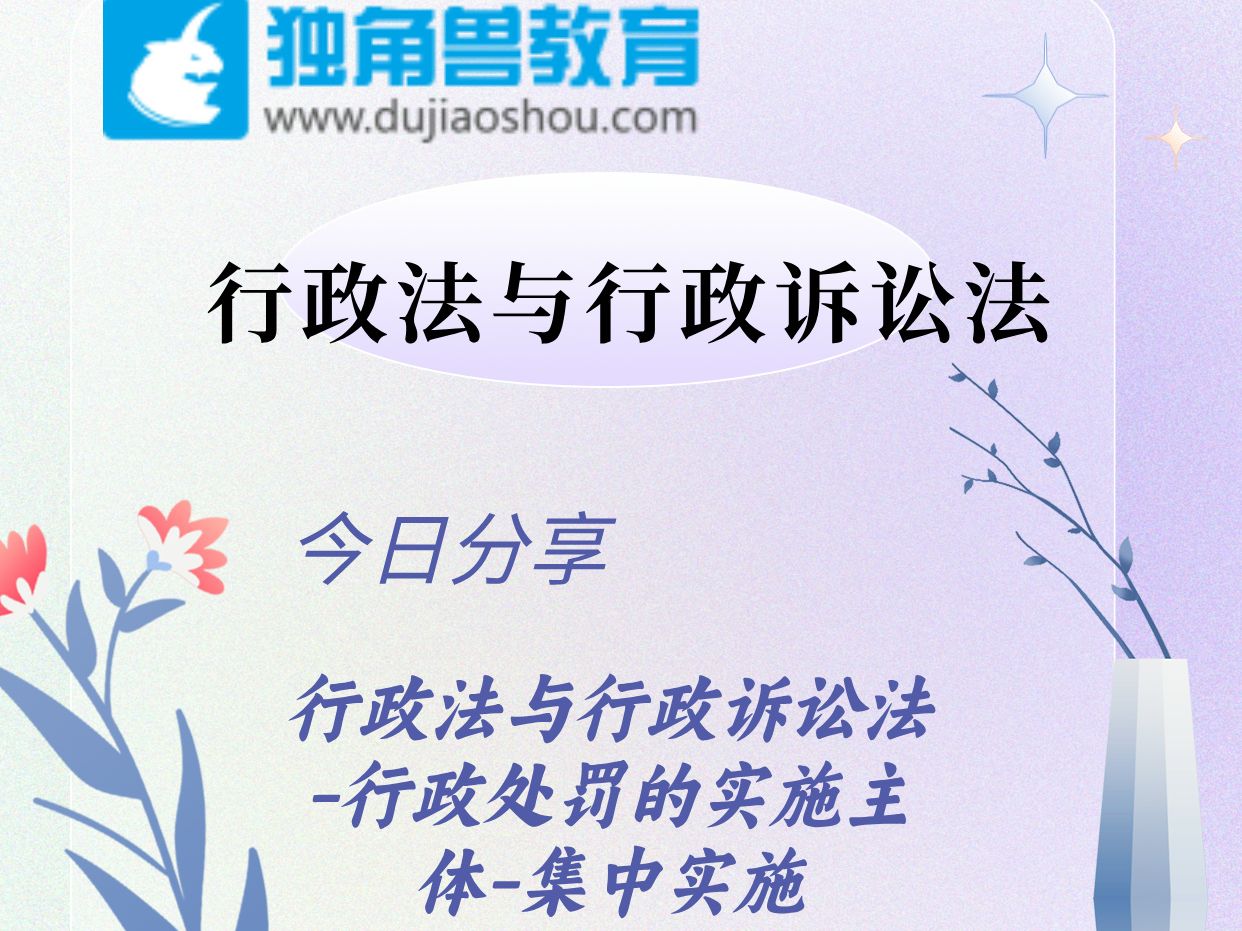 行政法与行政诉讼法-行政处罚的实施主体-集中实施