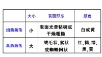 细菌和真菌培养的一般方法
