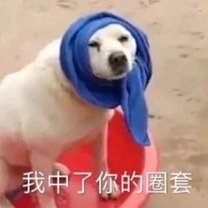 又去浪啊哦 