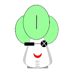 大白菜课堂三桥成帅哥 