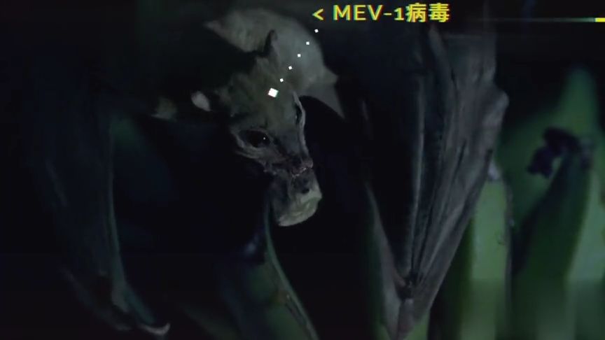 电影中的病毒是怎么传染的?