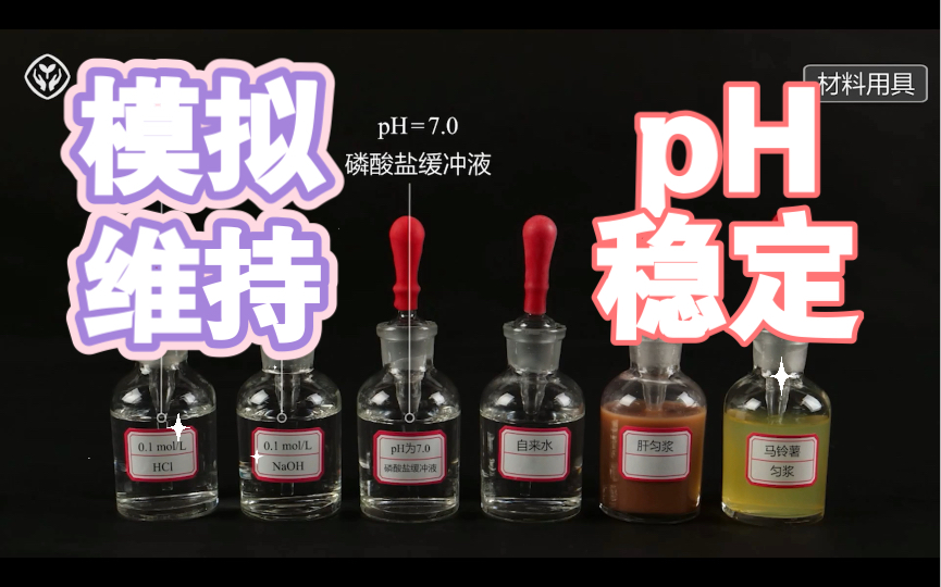 高中生物学选择性必修1 模拟生物体维持pH的稳定 稳态与调节内环境...