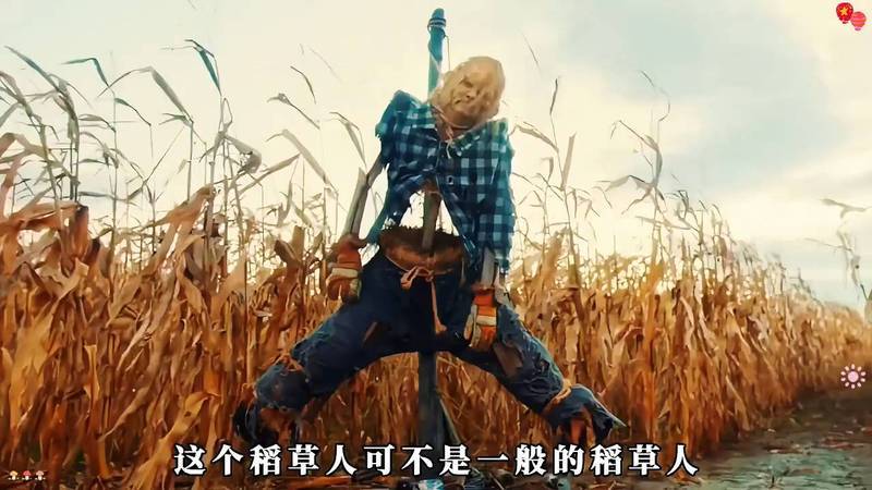 稻草人:不一般的稻田守护者
