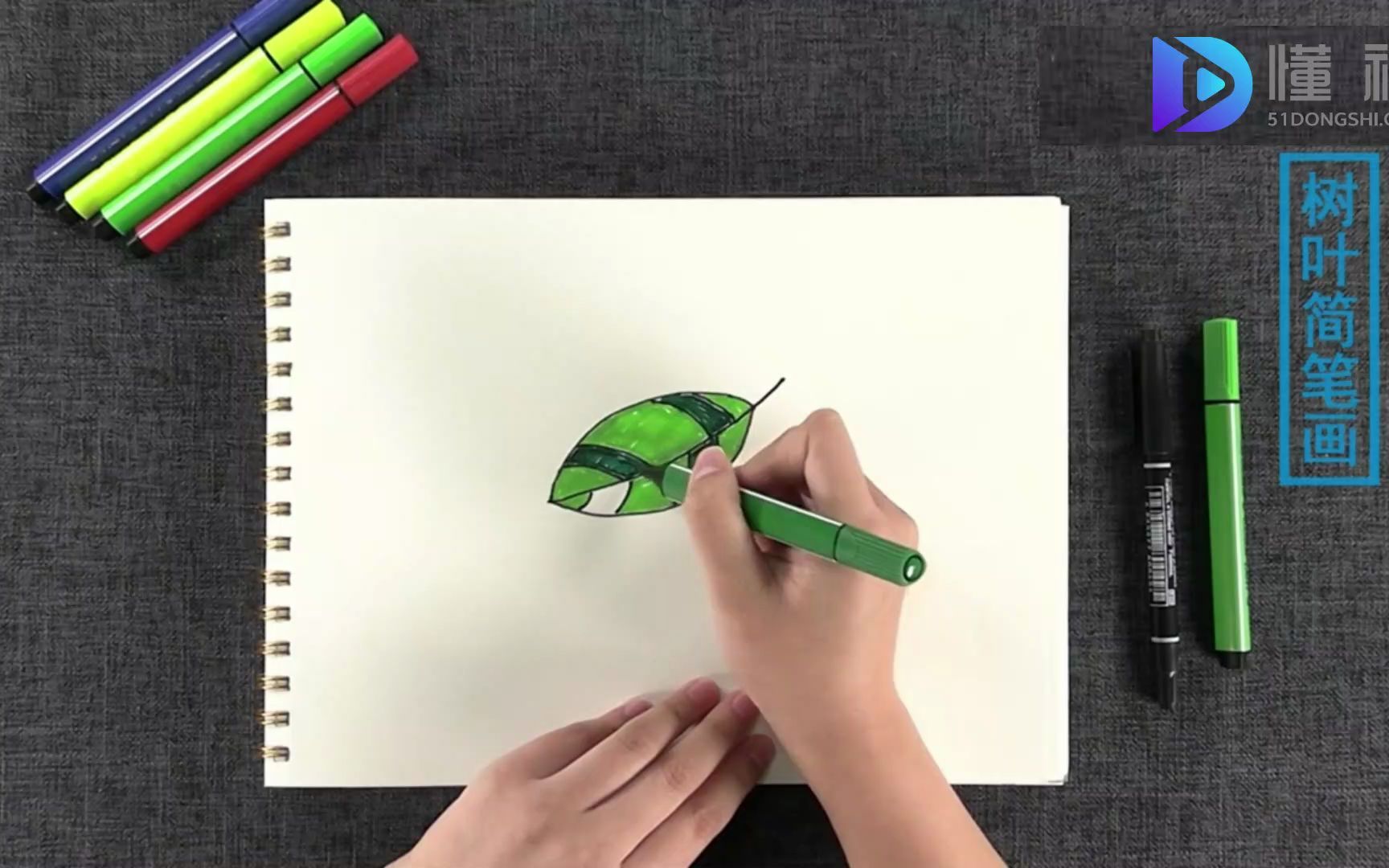 树叶怎么画?树叶简笔画