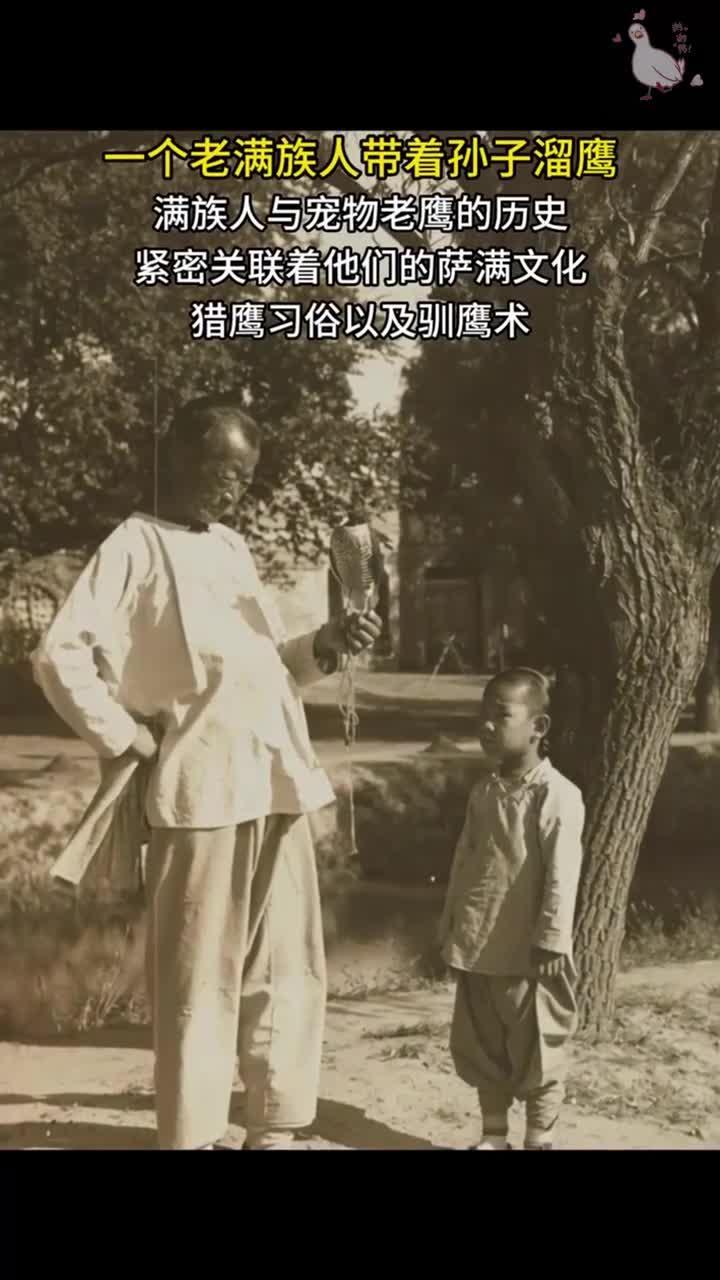 一个老满族人带着孙子溜鹰满族人与宠物老鹰的历史紧密关联着他们的...