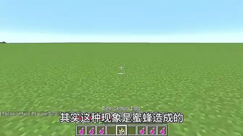 我的世界,当游戏时视角出现了故障