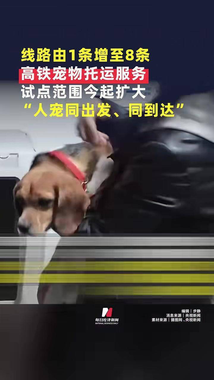 线路由1条增至8条,#高铁宠物托运服务试点范围今起扩大,"人宠同出发...