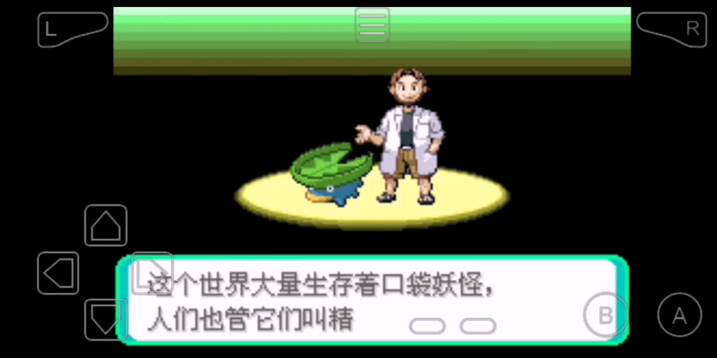 口袋妖怪绿宝石,获得初始宠木守宫,到达橙华市