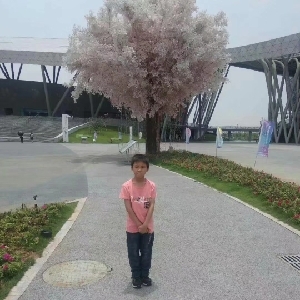 一只有力气的权 