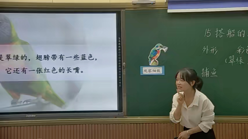 三年级上册《搭船的鸟》课堂实录,省级优质课 林老师
