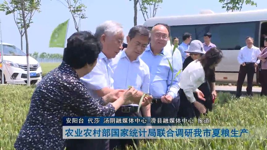 农业农村部国家统计局联合调研我市夏粮生产