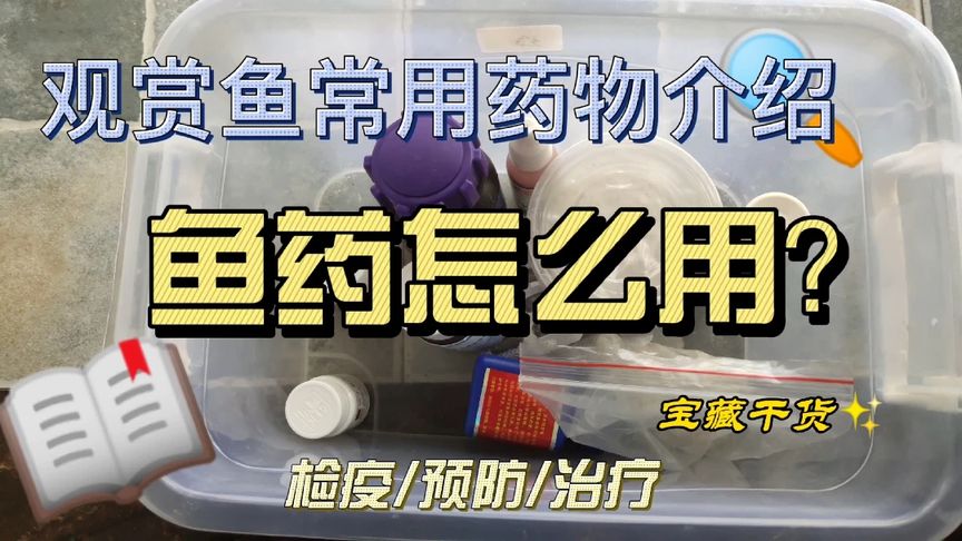 盘点一下箱子里饲养观赏鱼的鱼药,每种鱼药疗效不同,新手看过来