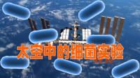 国际空间站上的“超级细菌”实验,对我们有什么用?