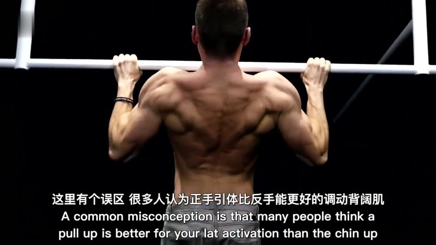 引体向上 正握?反握?哪个更适合?