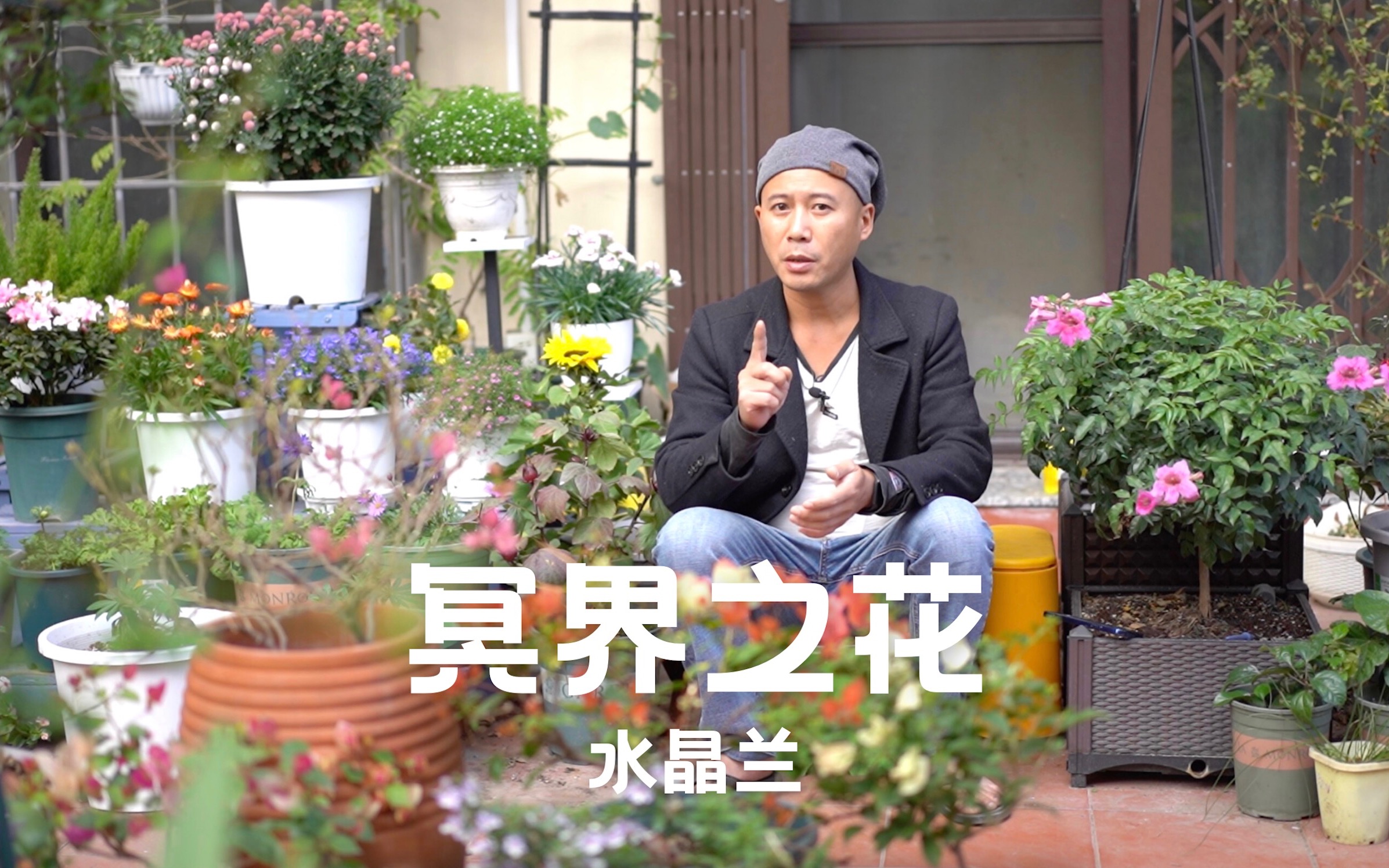 冥界之花水晶兰,据说一颗价值上千万,吃了能起死回生