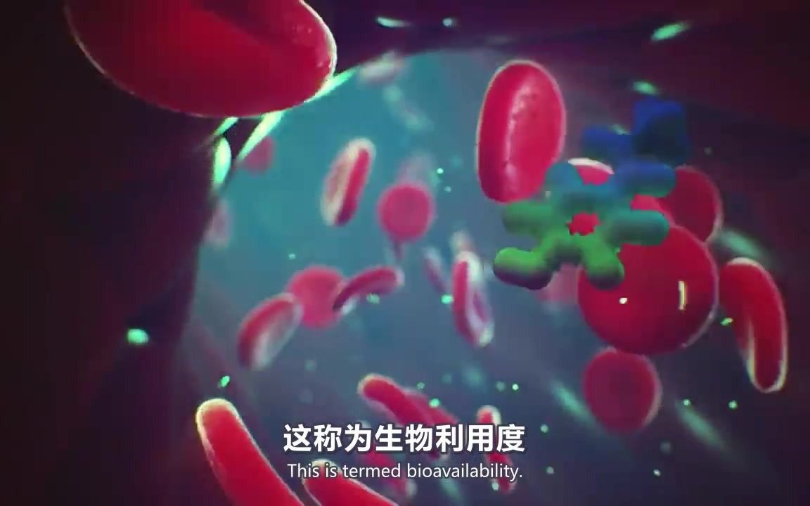 【医学双语视频】身体吸收和使用药物的方式
